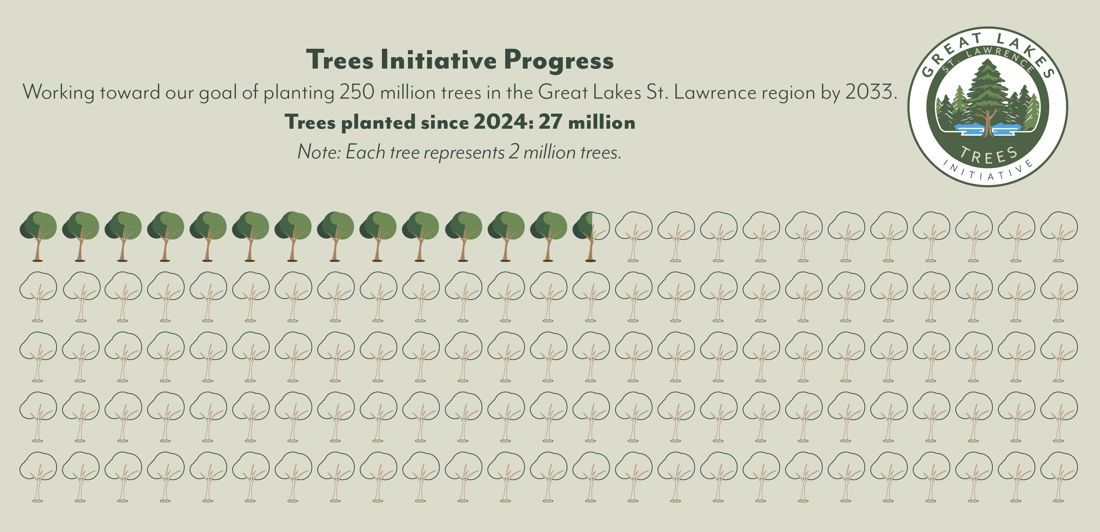 More Than 27 million Trees Planted in Great Lakes St. Lawrence Region in 2024 Great Lakes ...