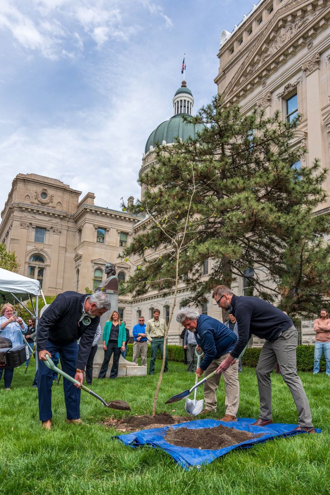Congratulations to Indiana for Planting One Million Trees - Great Lakes ...